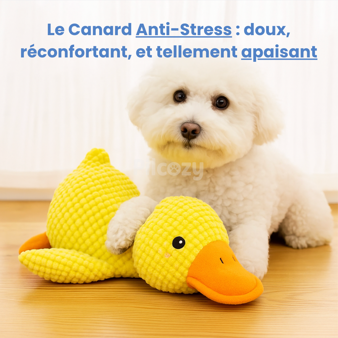 Doudou Canard Anti-Stress Pilcozy™️